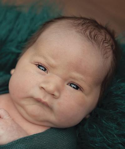 Theodore Nolan Kelly | Cradleboard News | charkoosta.com