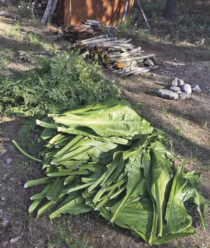 People’s Center continues camas bake tradition | News | charkoosta.com