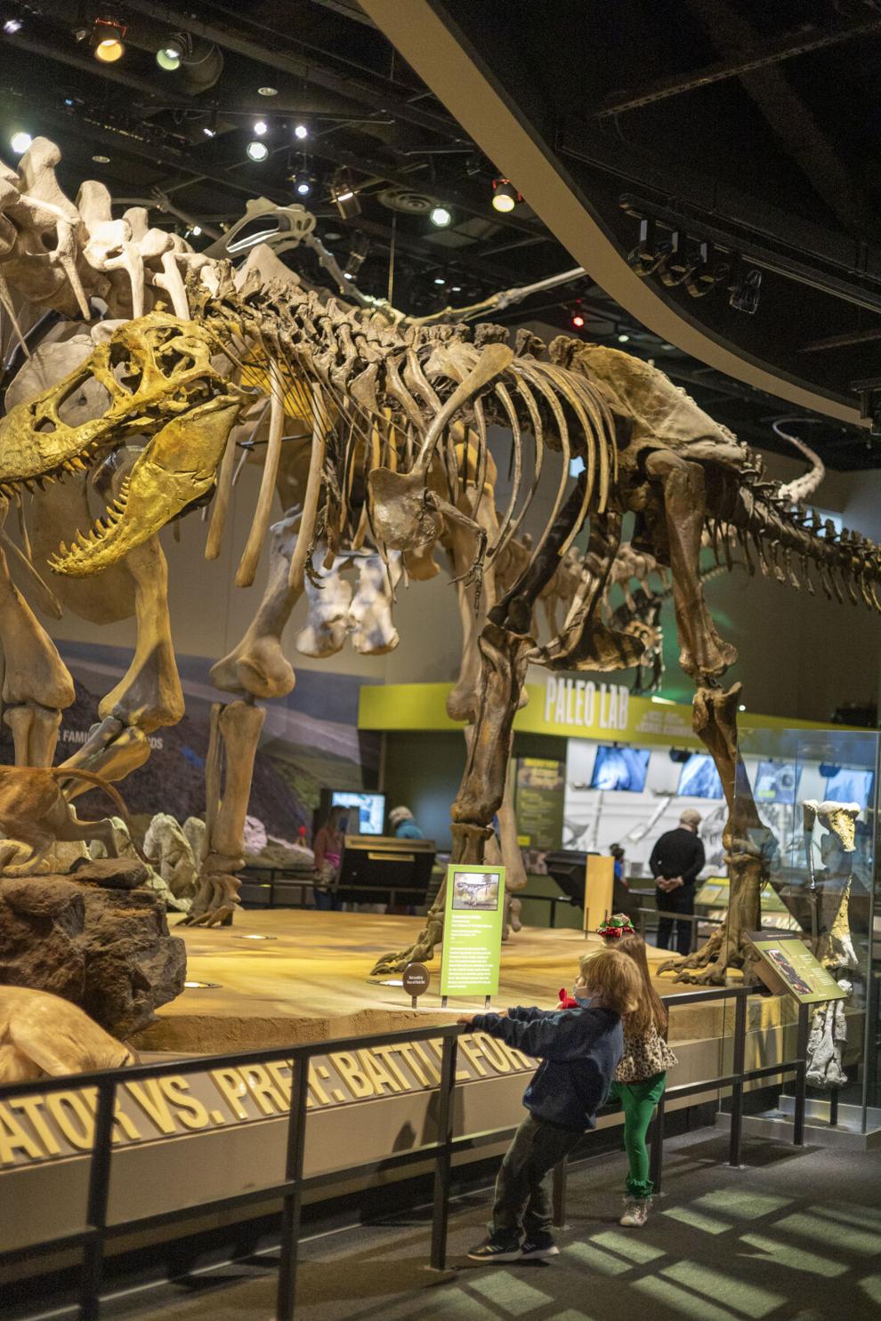 4 Dinosaur and fossil exhibits in DFW you're sure to dig | Things To Do ...