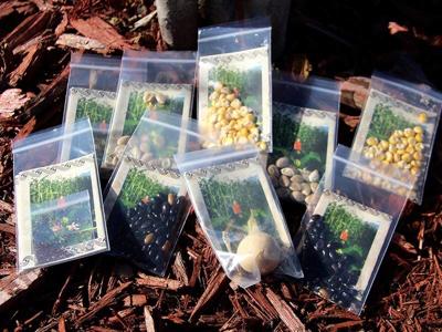 Cherokee Nation Seed Bank online distribution begins Feb. 1 | Services ...