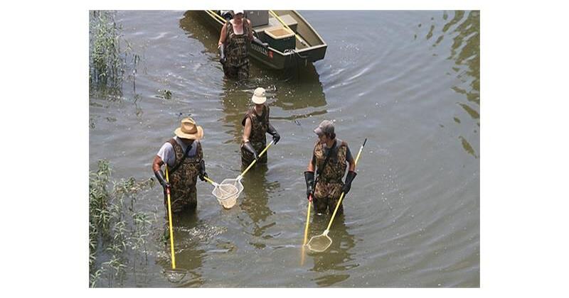 Cherokee Nation tests fish for mercury levels | News | cherokeephoenix.org