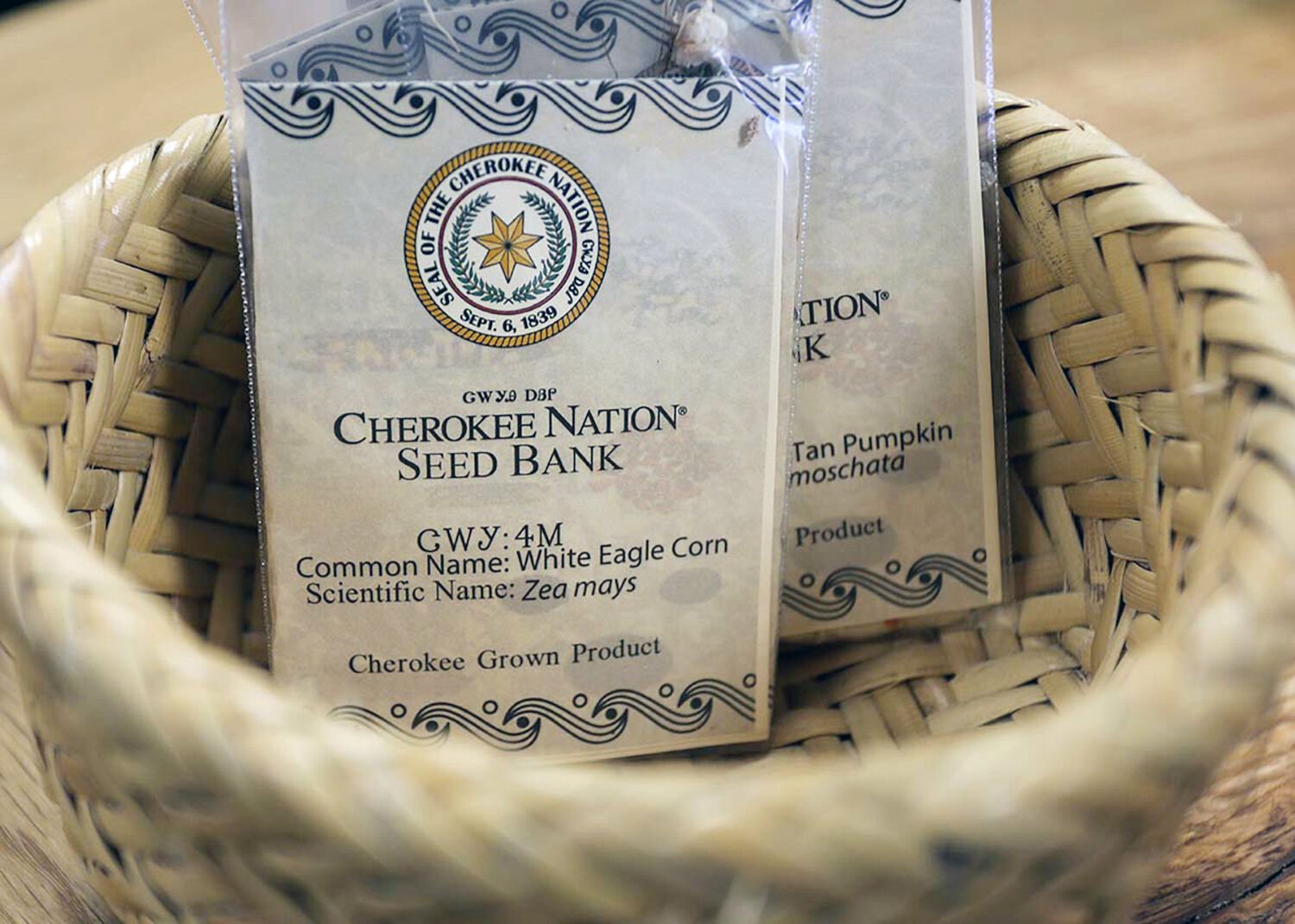 Cherokee Nation accepting applications for heirloom seeds | Services ...
