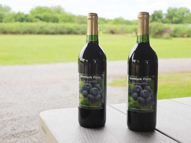 Blueberry season busy time for Outback Farm | Money | cherokeephoenix.org