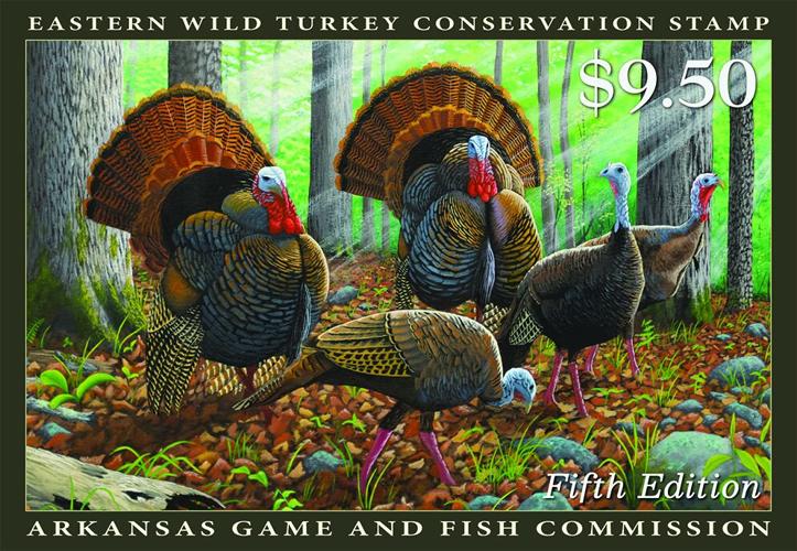 2025 Arkansas Quail and Turkey Stamp art winners to be announced March 15 | News ...