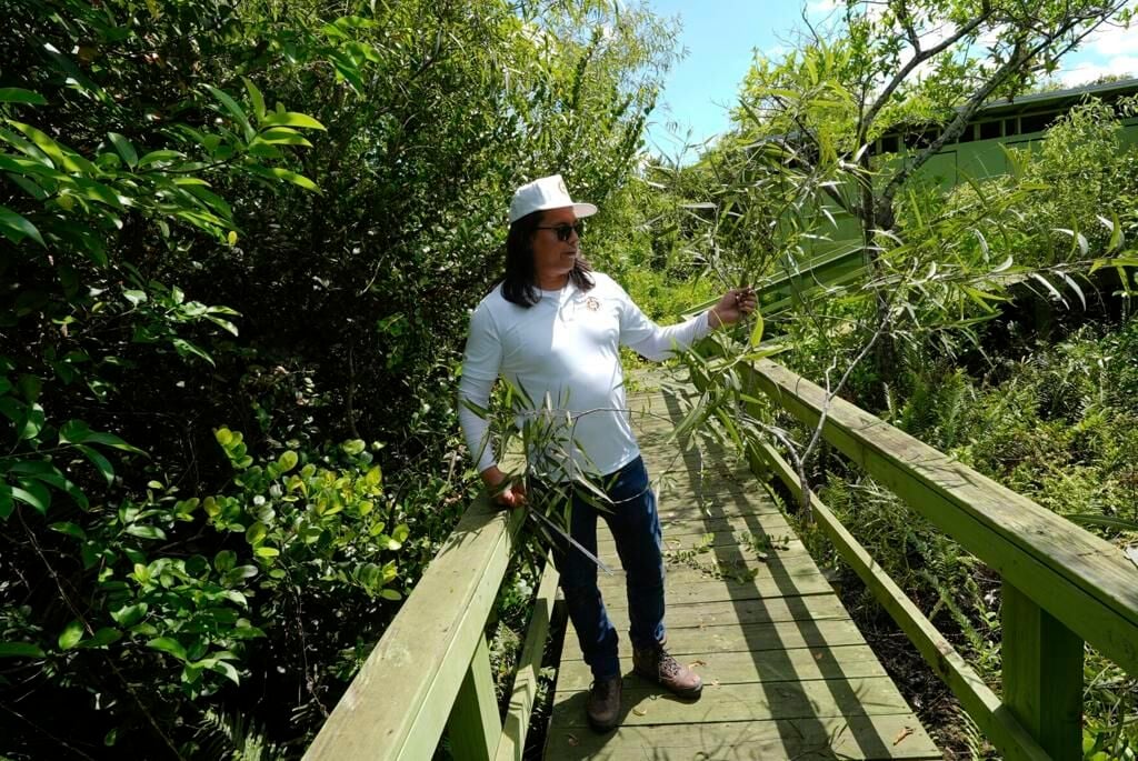 In Florida, the Miccosukee fight to protect the Everglades in the face ...