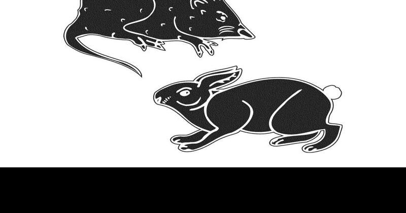 The Rabbit and the Possum after a wife | Culture | cherokeephoenix.org