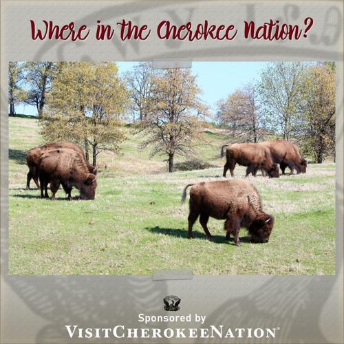 Where in the Cherokee Nation? | Multimedia | cherokeephoenix.org