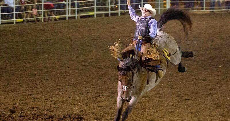Will Rogers Rodeo is Aug. 7-10 in Vinita | News | cherokeephoenix.org