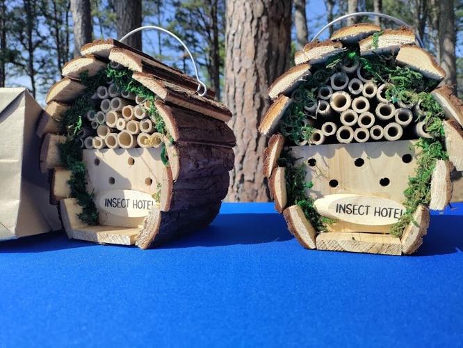 CN installs more pollinator homes at speaker village, Immersion School ...