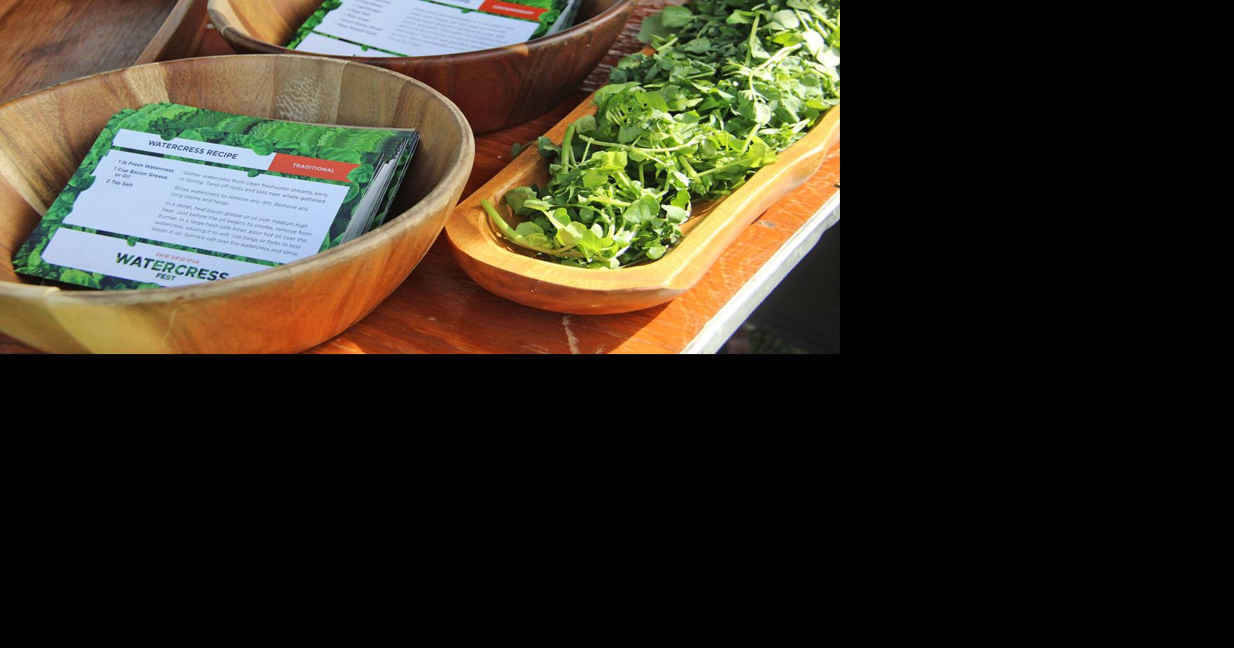 Cherokee Nation’s first-ever Watercress Fest embraces culture ...