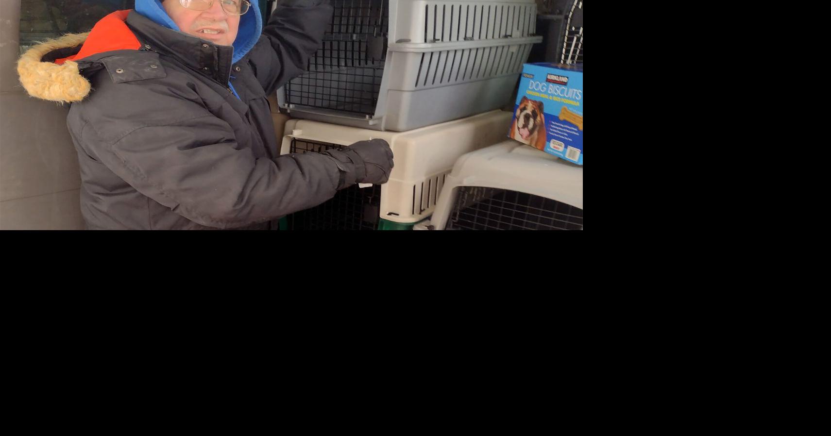 Save Our Strays Inc. continues animal transport after more than 25 ...