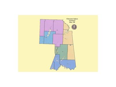 Redistricting issue costs tribe more than $266K | News ...