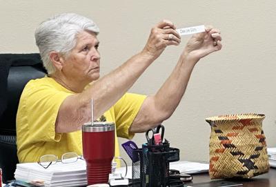 Ballot order set for run-off election | Cn Election 2023 ...