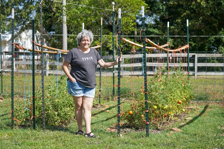 Longshadows Ranch continues path of food sustainability, teaching ...