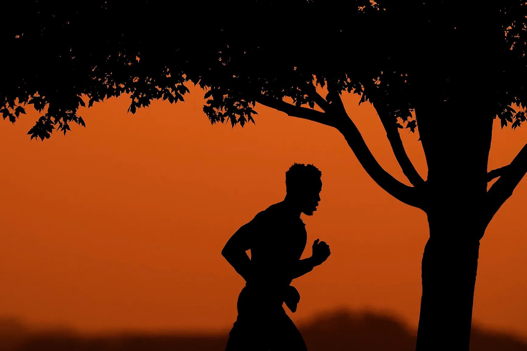 Trying to improve your health and wellness in 2026? Keep it simple ...