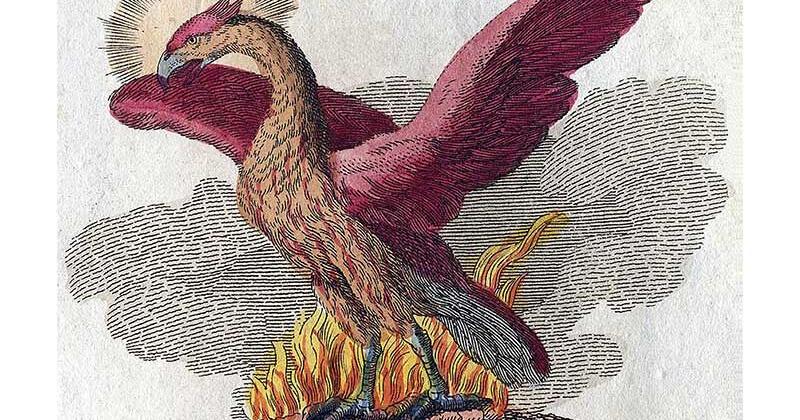 Boudinot learned of Cherokee Phoenix legend as student | Culture ...