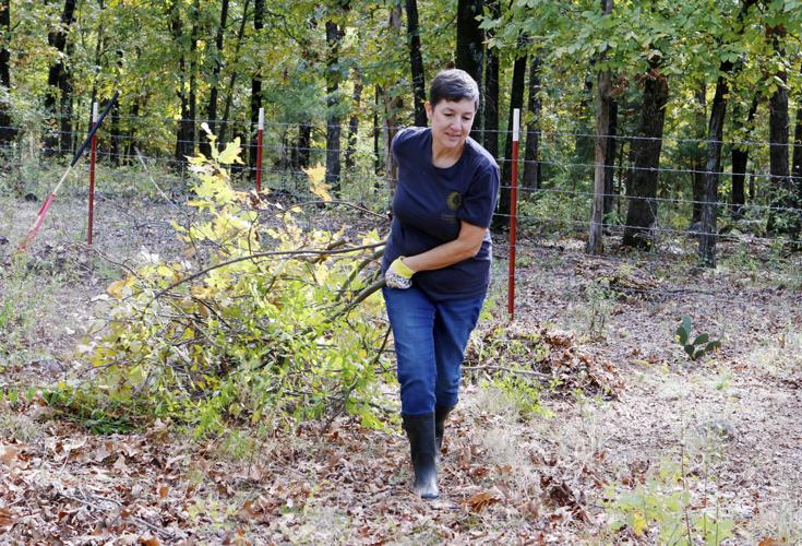 Cherokee Cemeteries Restoration Organization locating and restoring ...