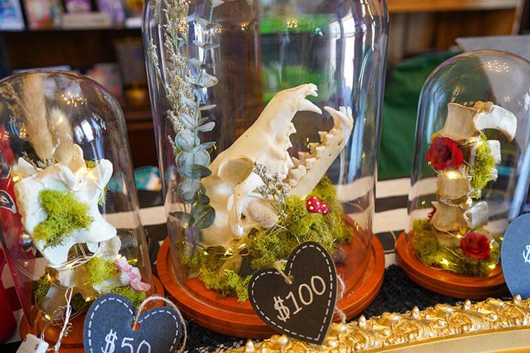 Leach expresses love for film, music through Painted Lady Creative ...