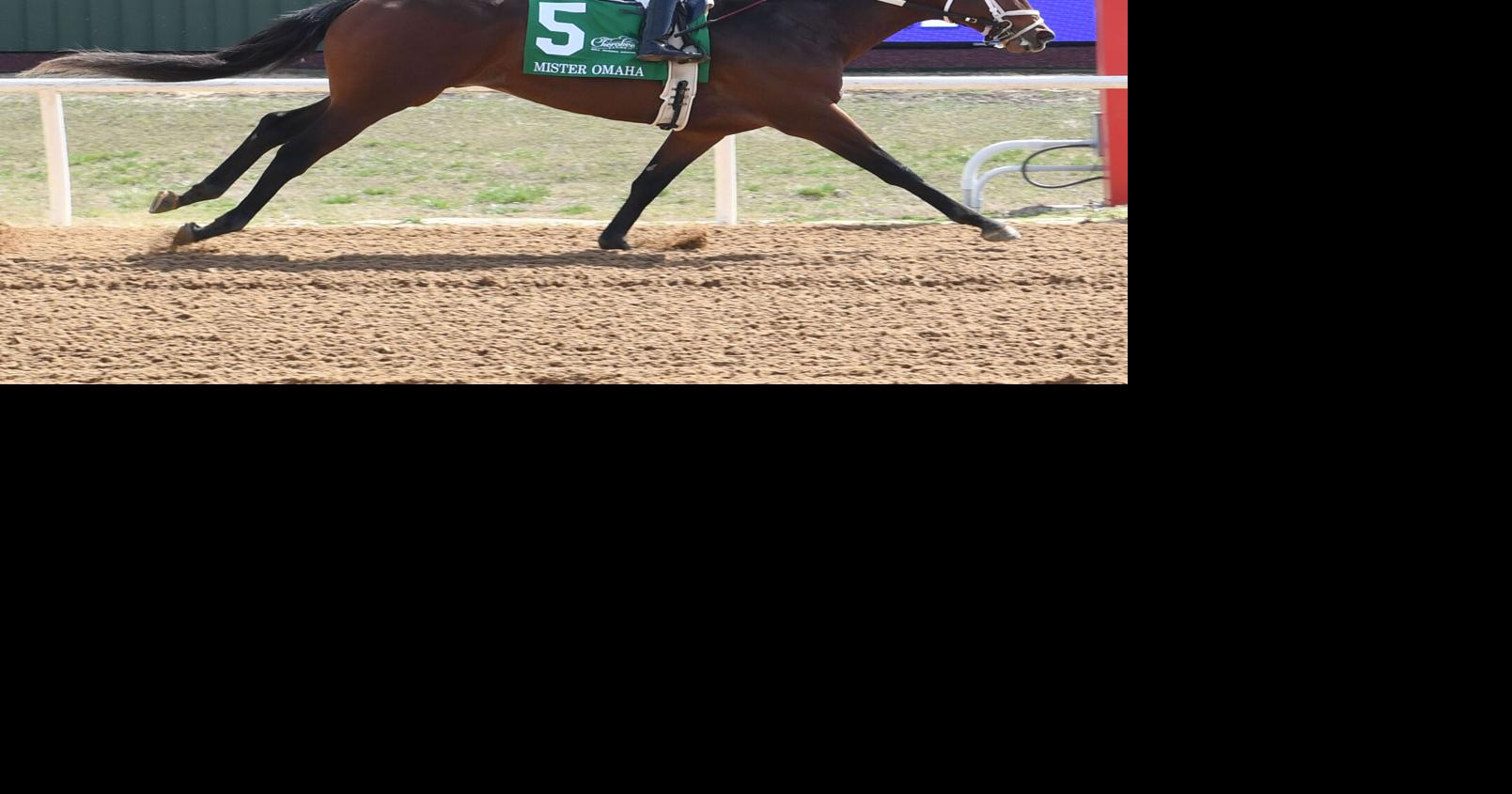Will Rogers Downs sees strong thoroughbred competition as 2025 racing ...