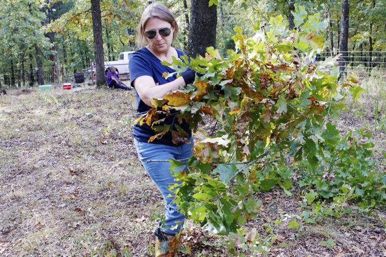 Cherokee Cemeteries Restoration Organization locating and restoring ...
