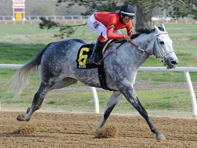 Thoroughbreds return to WRD, Welder aims for $1M in earnings ...