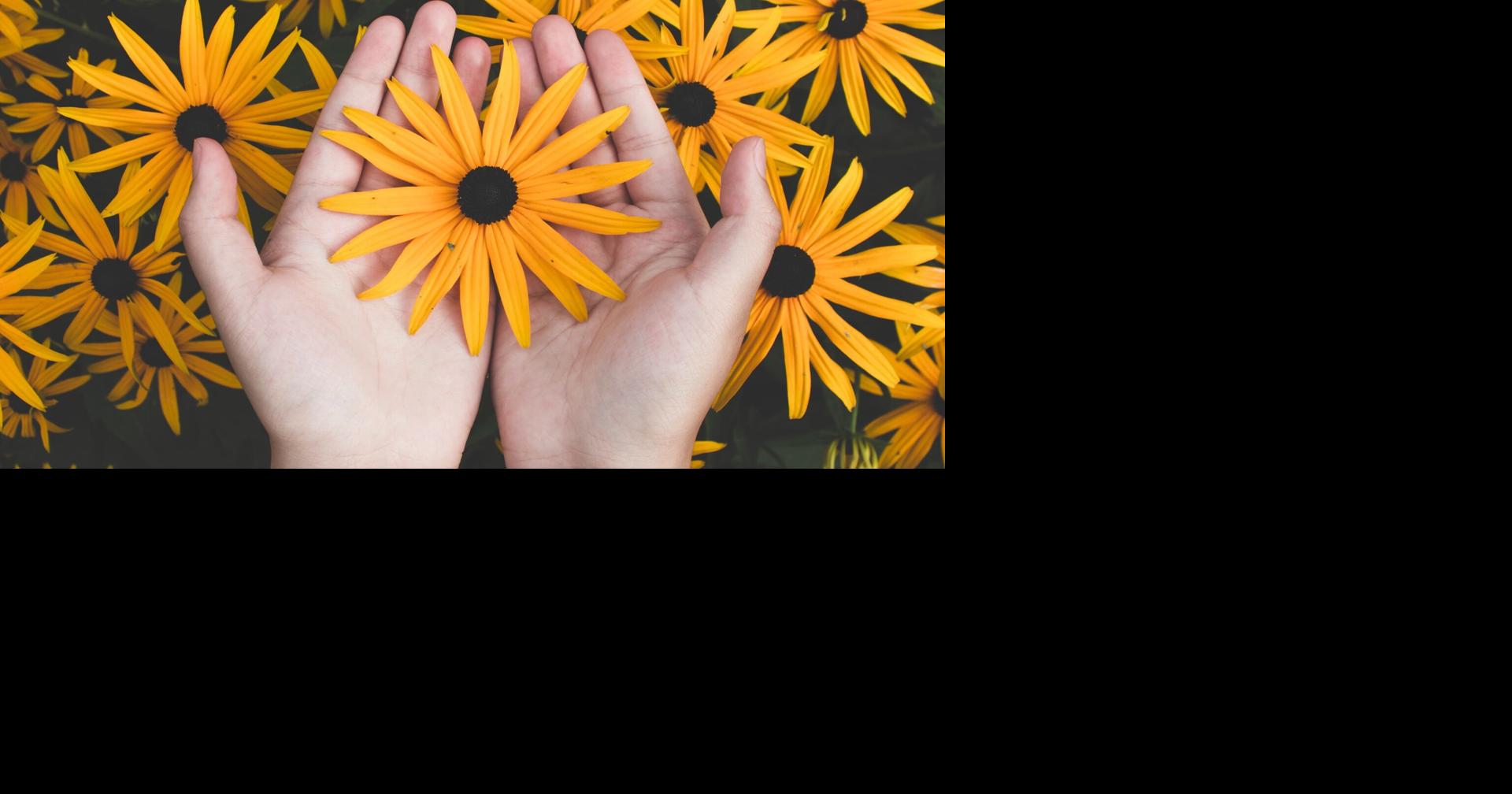 Column: Late bloomers take life at their own pace | Bridget Mcguire ...