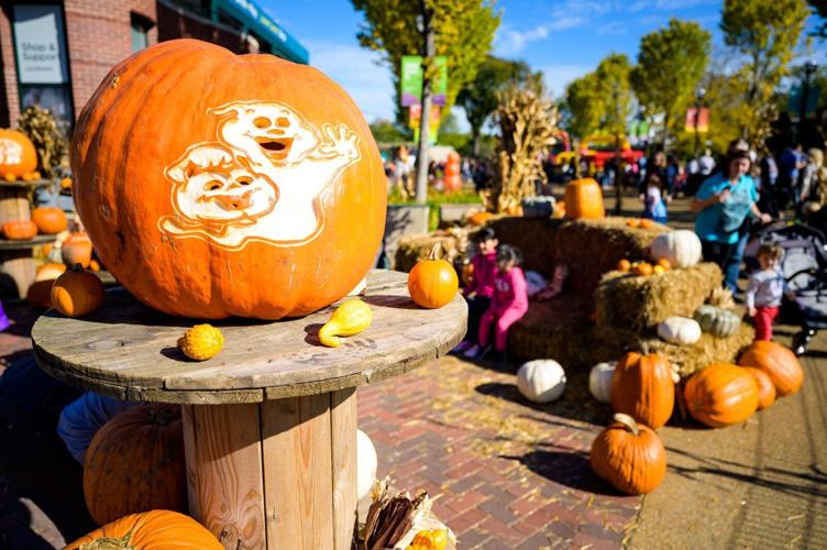 Chicago fall events 2025: Zoo adventures & festival guide | Events ...