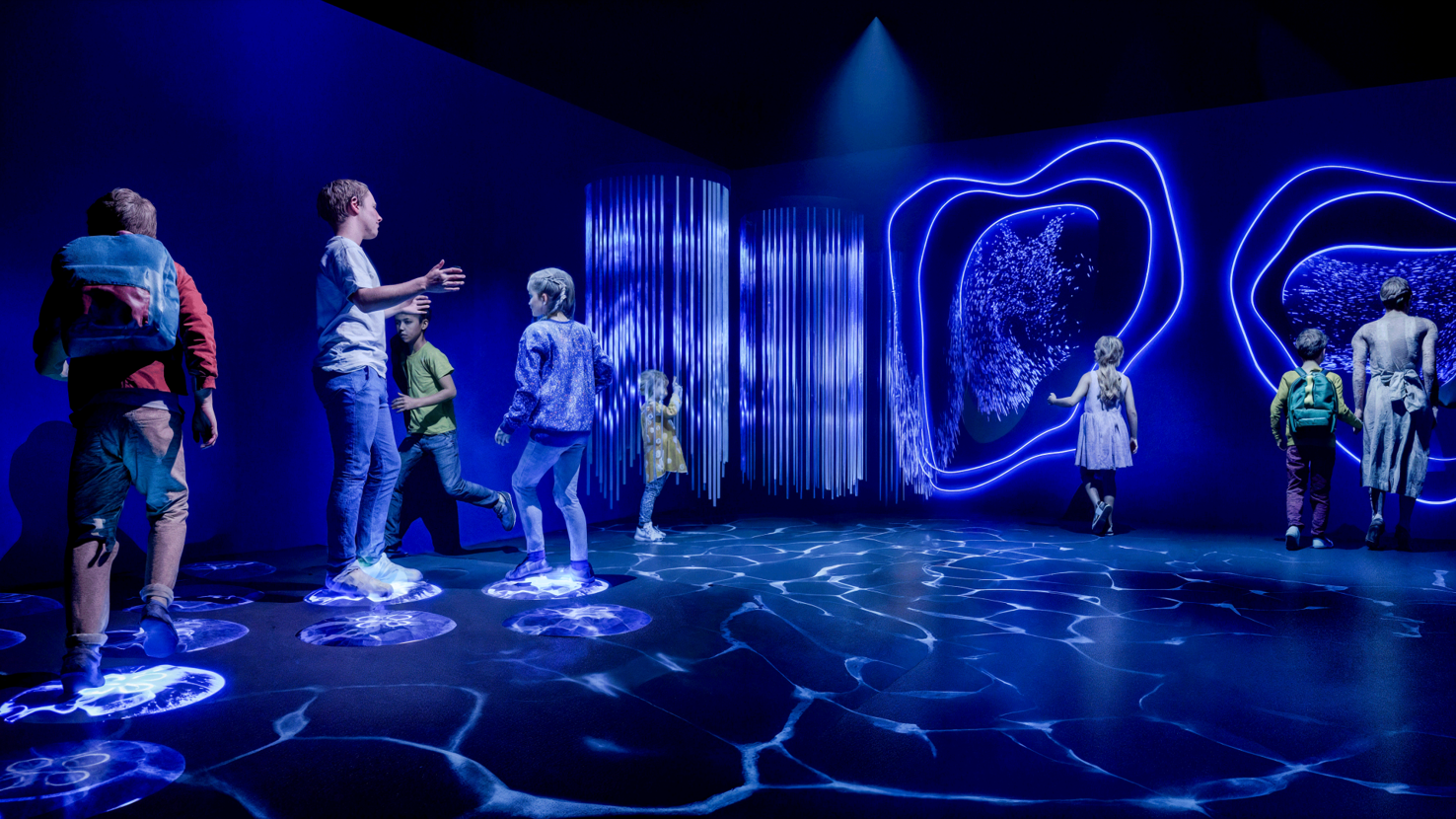 Wondra: A new nature experience at Woodfield Mall | Out & About ...