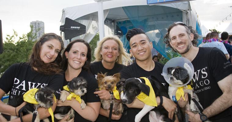 PAWS Chicago Beach Party on July 17 supports No‑Kill mission | Candid ...
