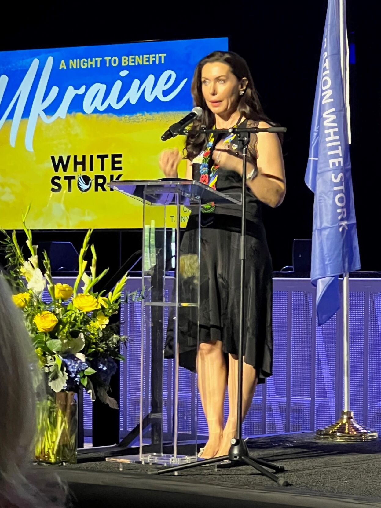Chicagoans pack Salt Shed to benefit Ukraine | Candid Candace ...