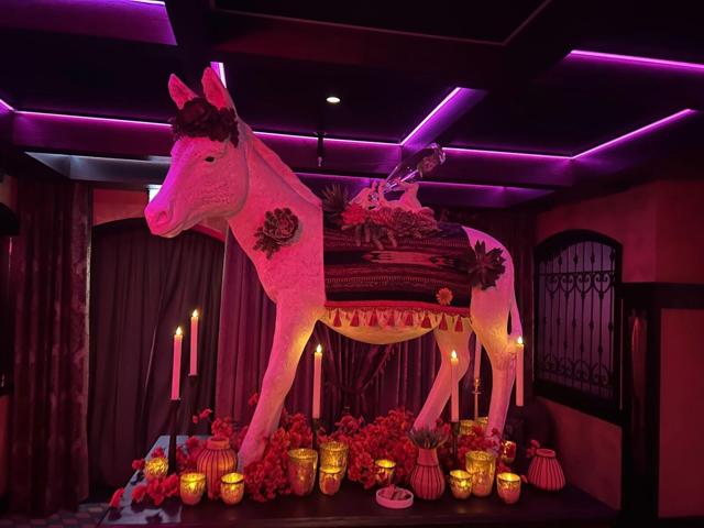 Ghost Donkey Chicago: A Vibrant Mezcal Bar with Fun Vibes | Restaurants ...