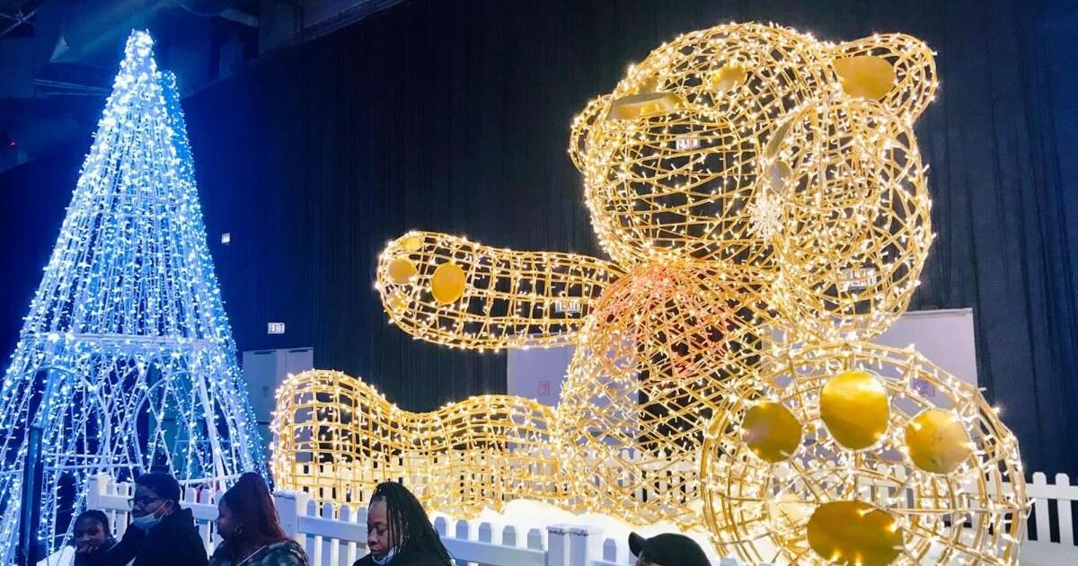 Navy Pier's reimagined "Light Up The Lake" returns. | Candid Candace ...