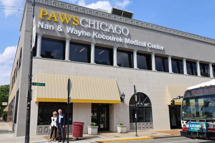 PAWS Chicago gallery photos | | chicagostarmedia.com