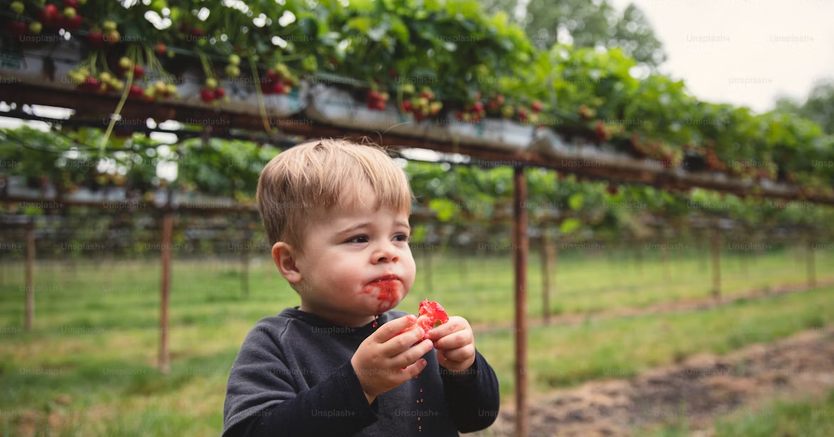 Blooming adventures at U-pick farms near Chicago | Out & About ...