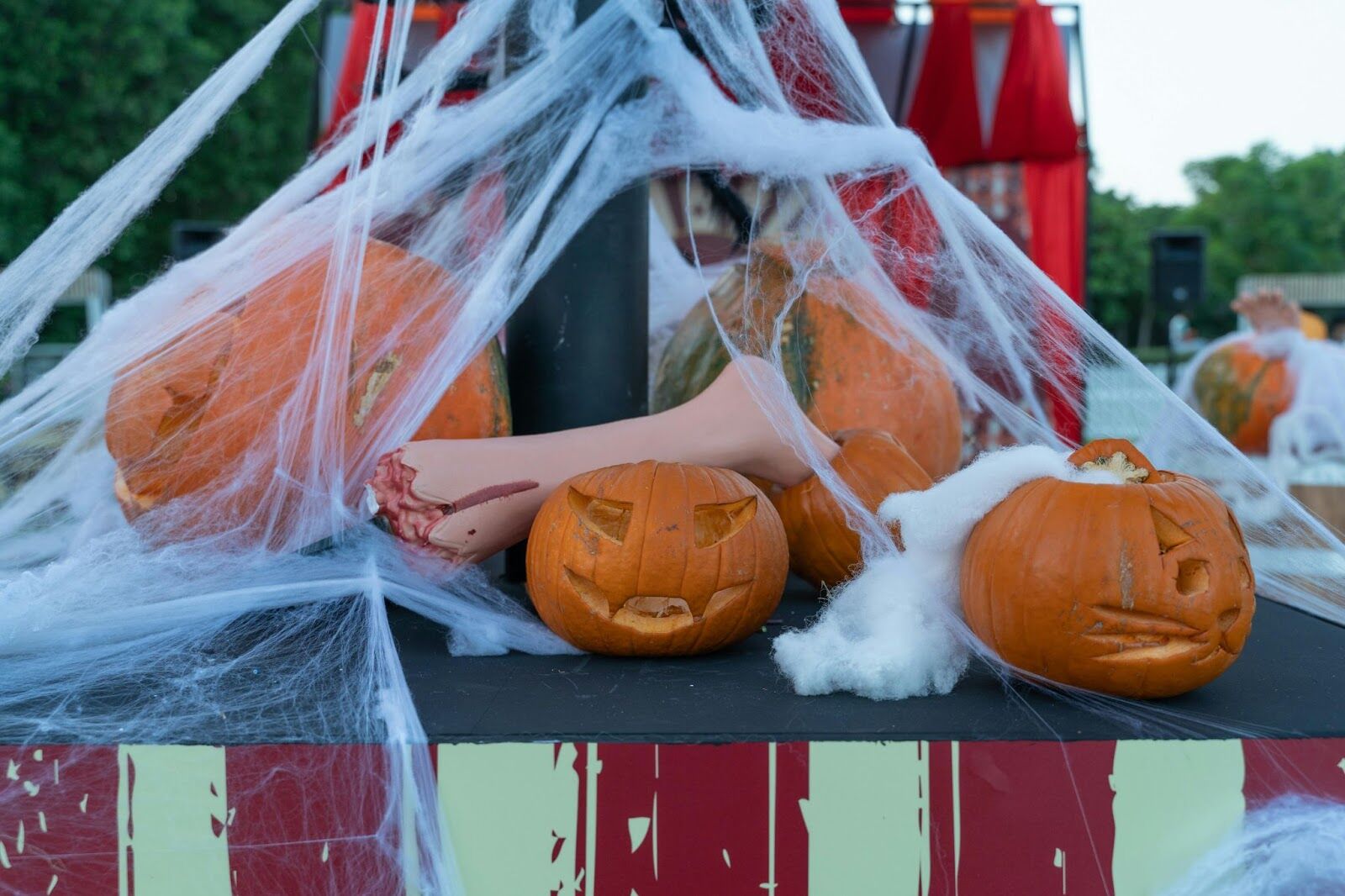 Chicago fall events 2025: Zoo adventures & festival guide | Events ...