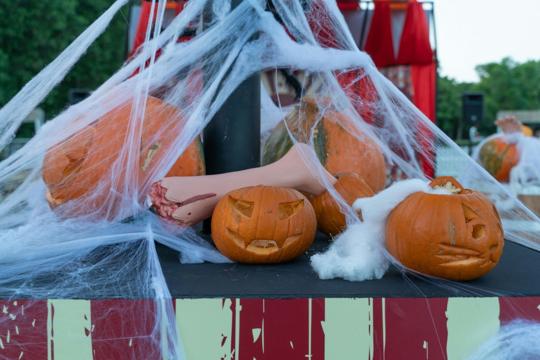 Chicago fall events 2025: Zoo adventures & festival guide | Events ...