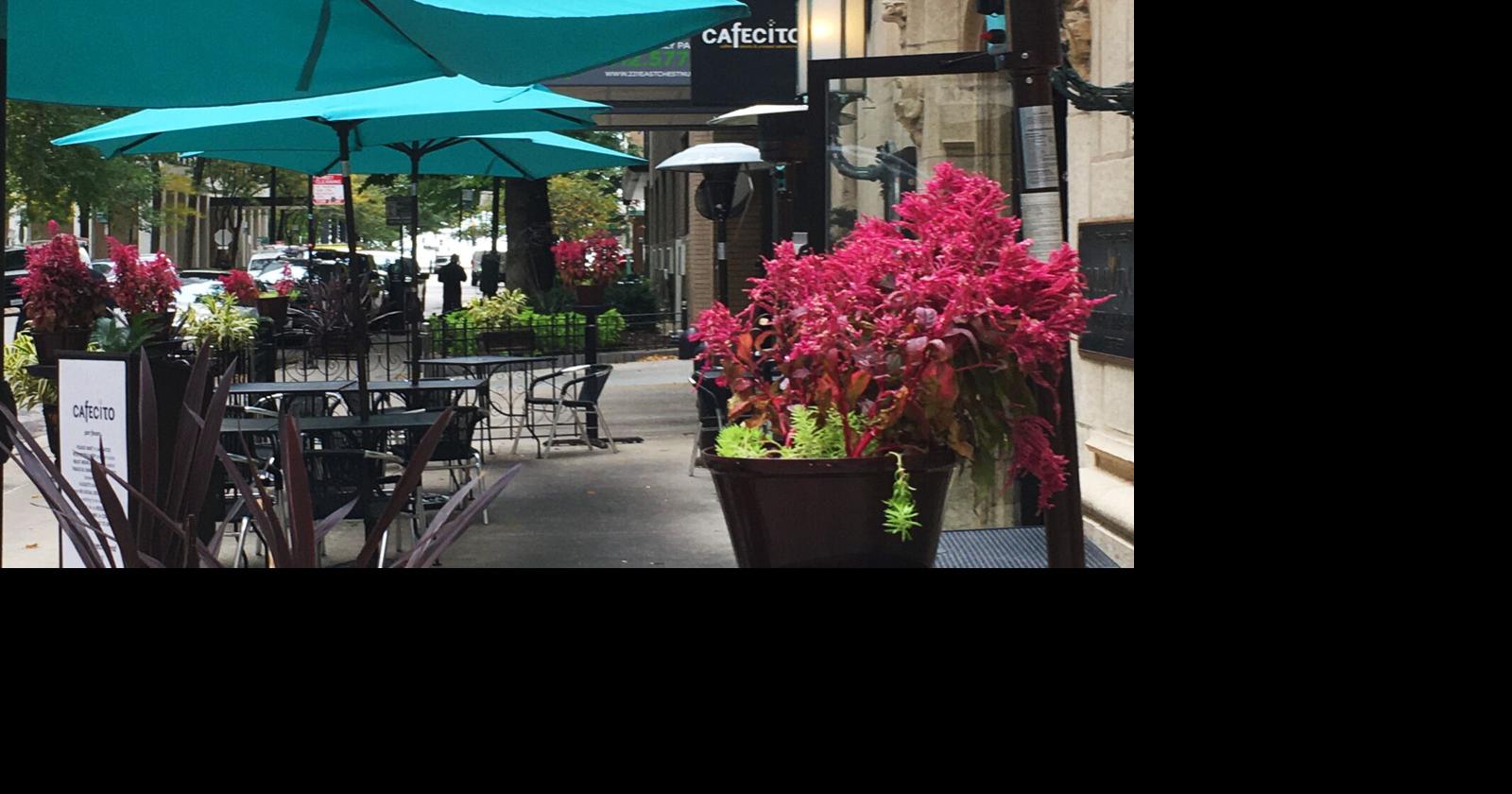 Local brunch options create world of flavor | Restaurants ...