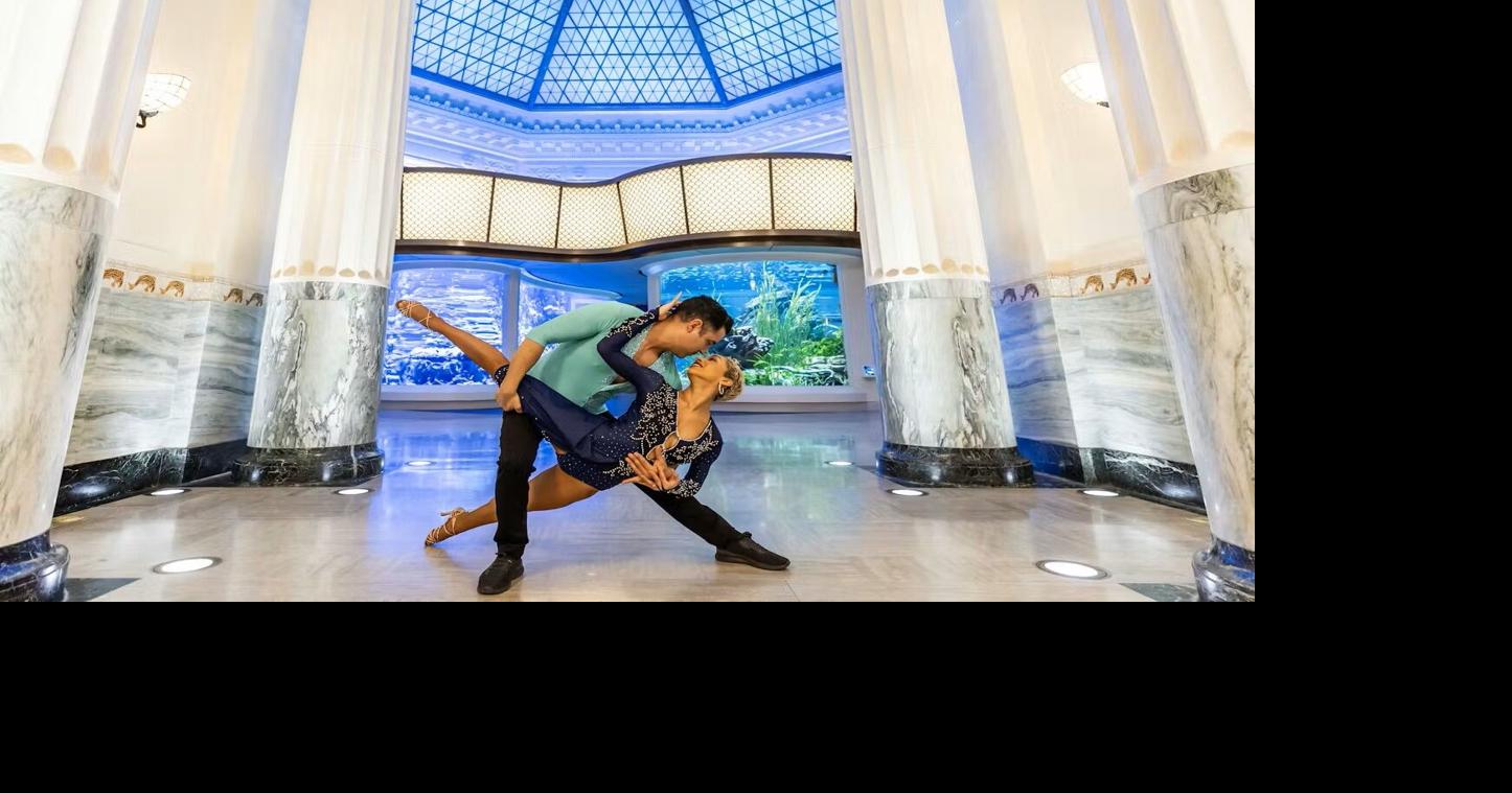 Heartbeat House Party: Adult Valentine’s at Shedd | Out & About ...