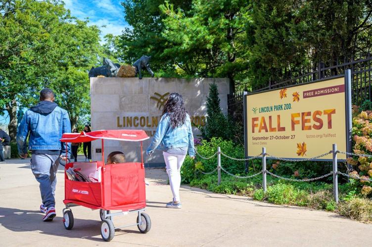 Chicago fall events 2025: Zoo adventures & festival guide | Events ...