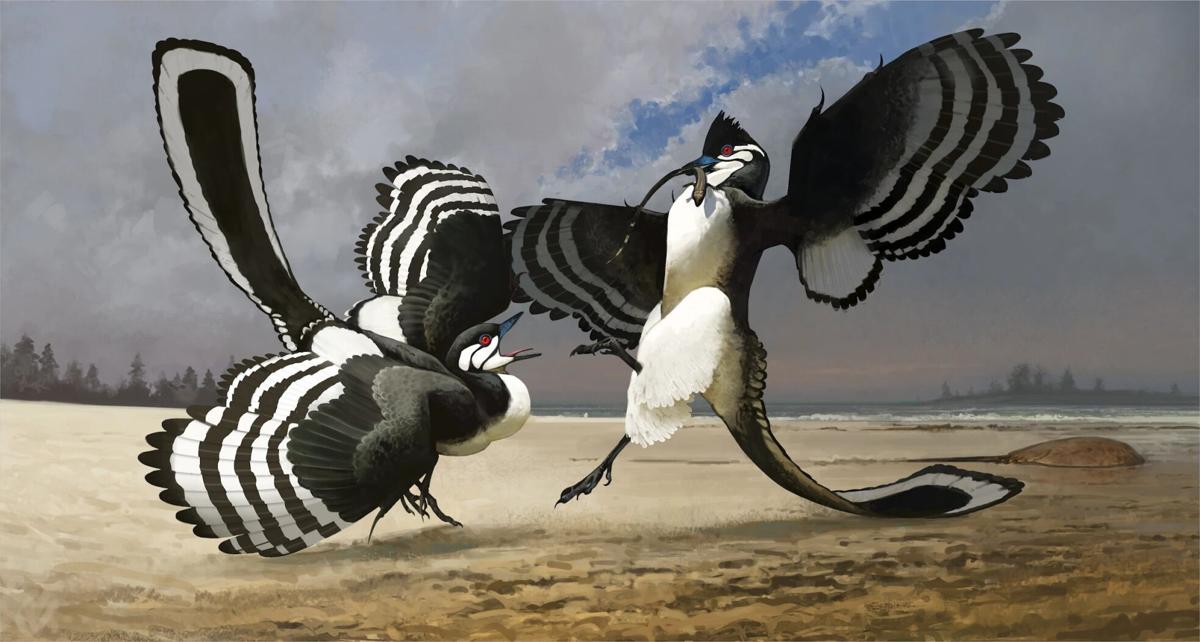 Archaeopteryx, 'first bird,' unveiled at the Field Museum | Candid ...