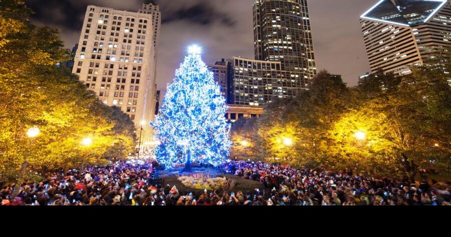 City of Chicago's official Christmas tree is now LIT! | Out & About ...