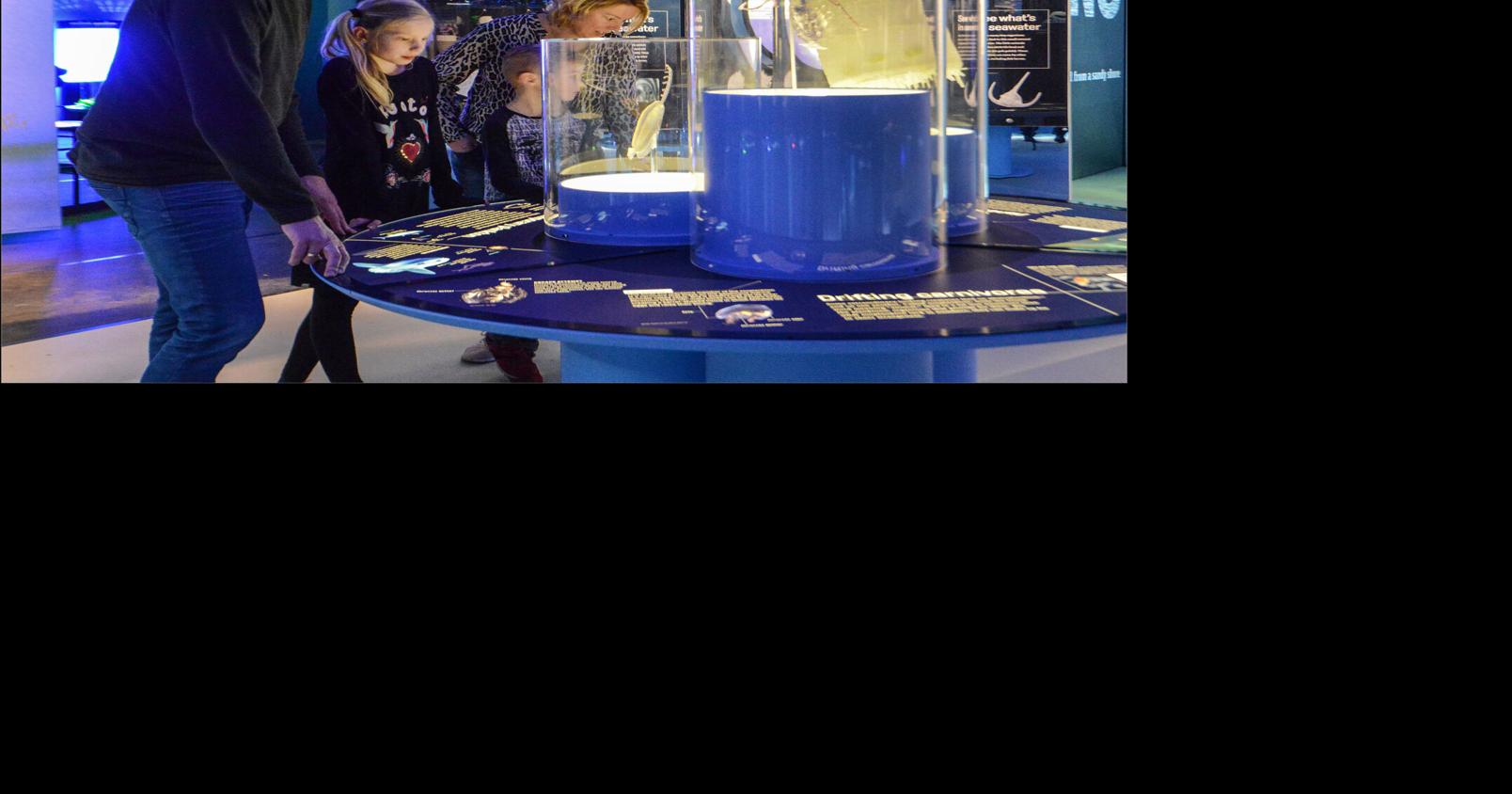 Secrets of the deep: Field Museum’s ‘Unseen Oceans’ exhibit | Candid ...