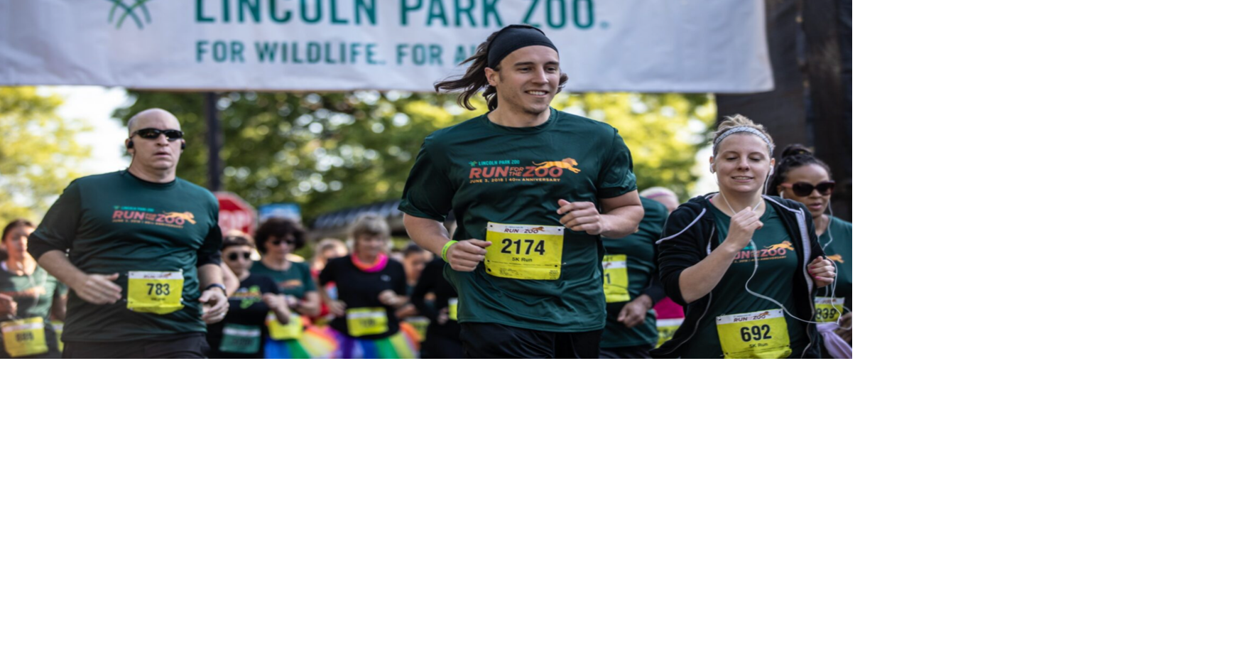 Lincoln Park Zoo’s ‘Run for the Zoo’ returns this summer | Events ...