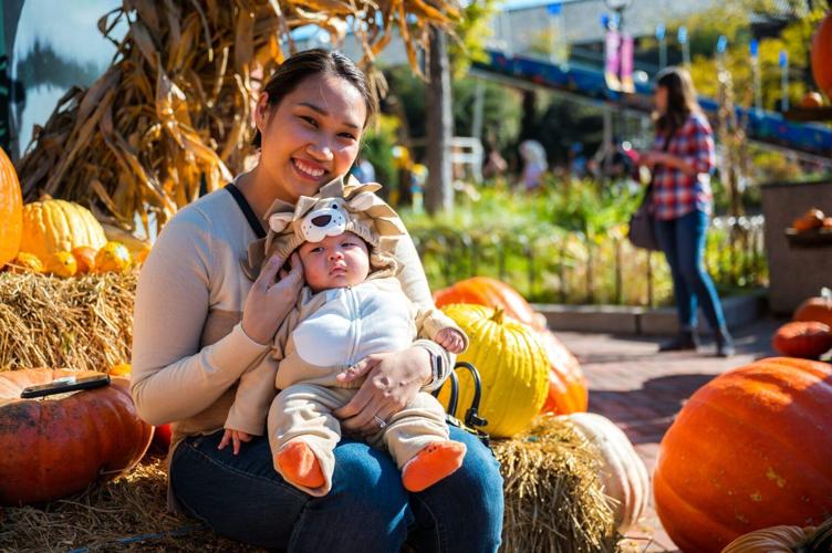 Chicago fall events 2025: Zoo adventures & festival guide | Events ...