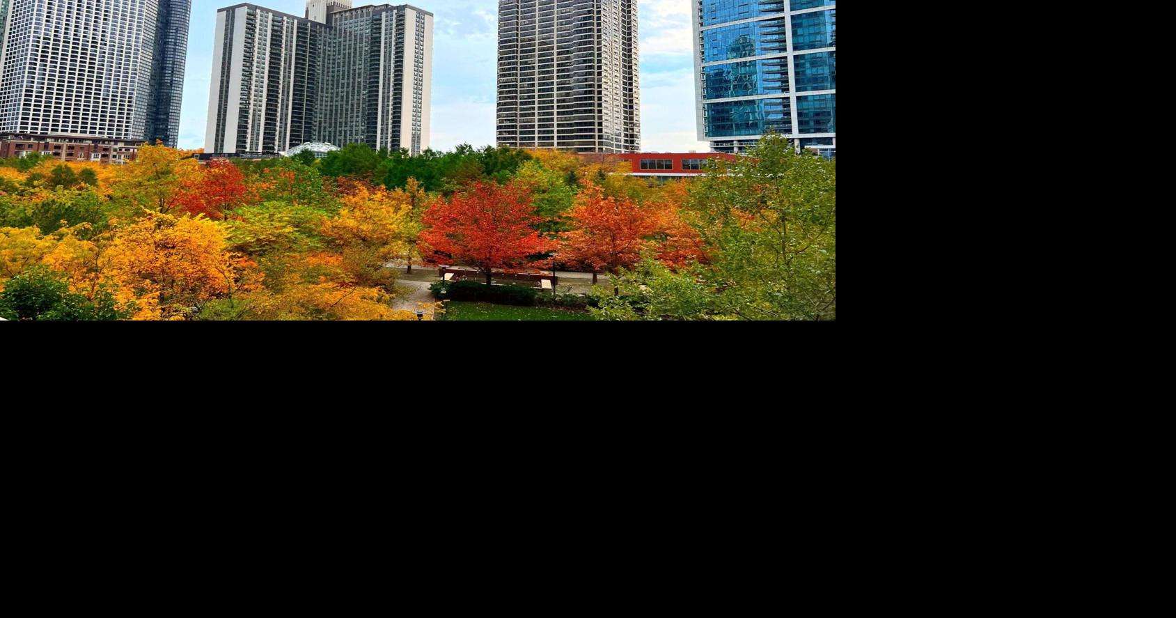 Discover fall foliage in Illinois with this trip planner | News ...