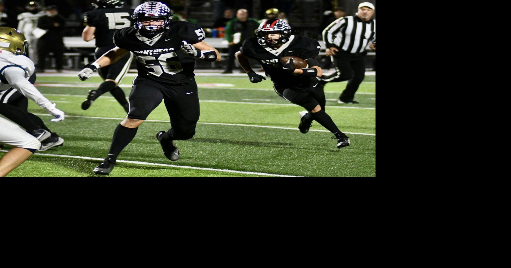 Panthers ride second-half surge to sectional title | Sports | chronicle ...