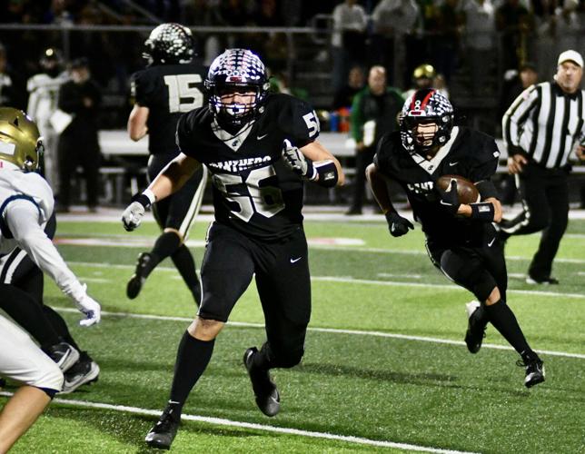 Panthers ride second-half surge to sectional title | Sports | chronicle ...