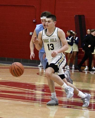 Local hoopers earn postseason accolades | Sports | chronicle-tribune.com