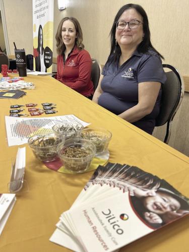 Dilico staffing grows as services diversify | Local Business ...