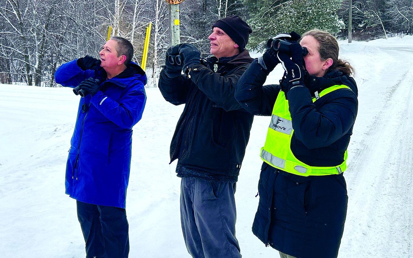 Birders out for count | Local News | chroniclejournal.com
